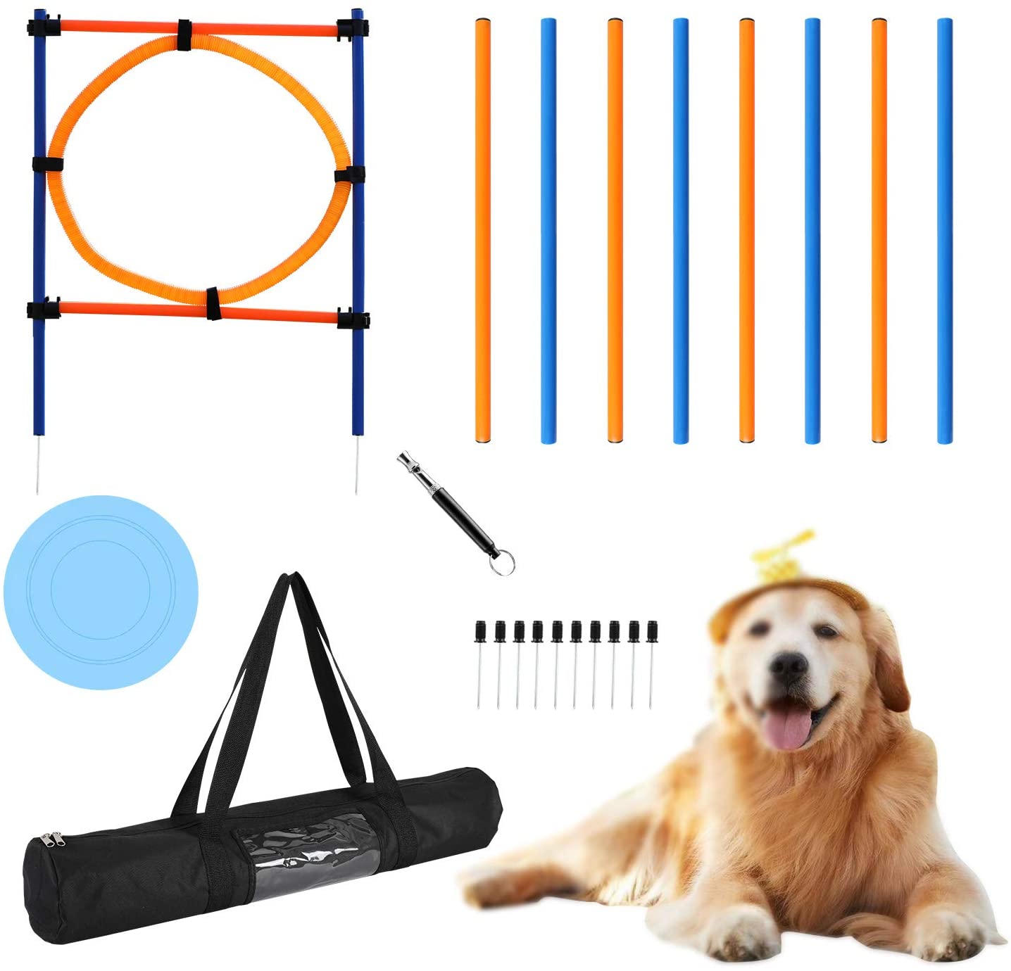 Best Reviewd Dog Agility Equipment – DogsSportsGear